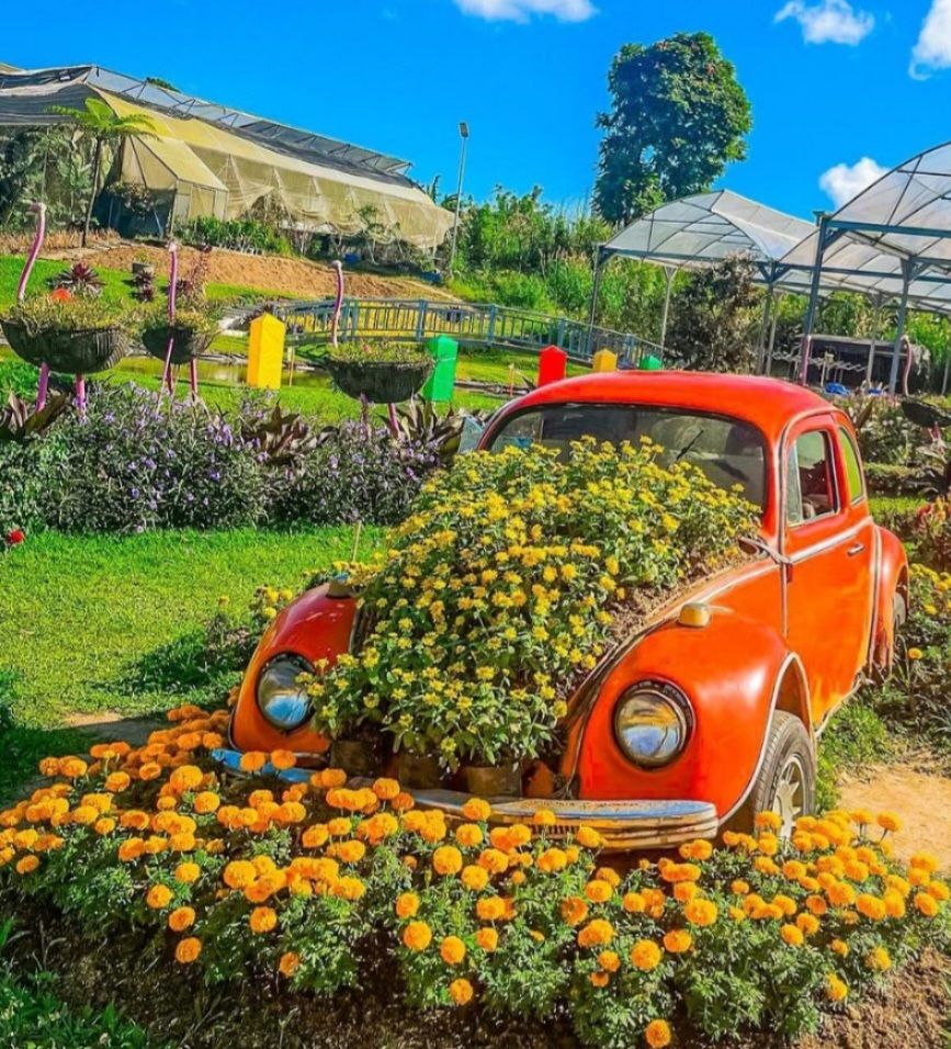 You Don’t Have to Earn Your Rest – The Quiet Chocolate Path